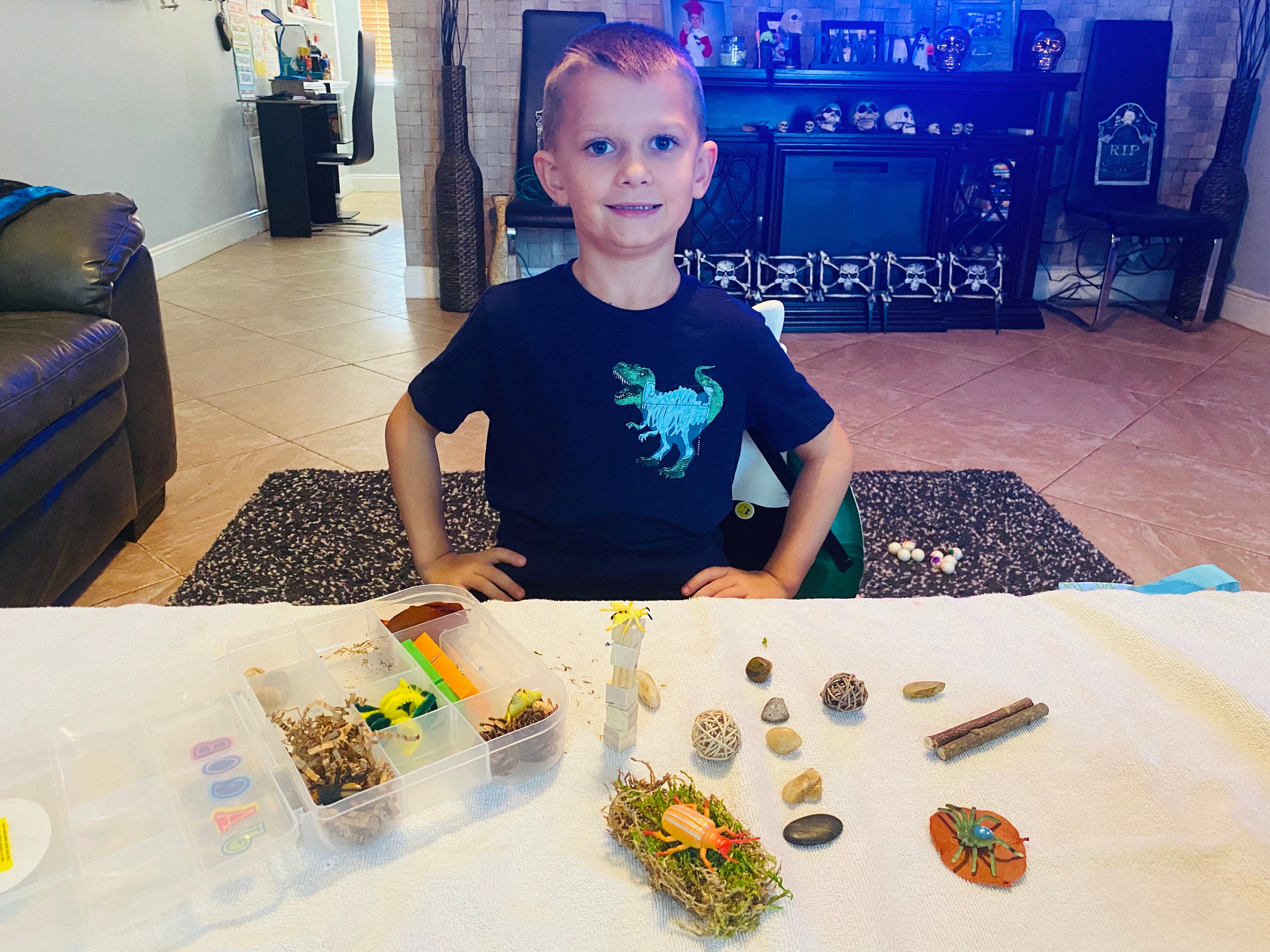 Insects Theme Sensory Box/bugs Buzzy Box/ Natural Explore Sensory Box/bugs Loose Parts ...