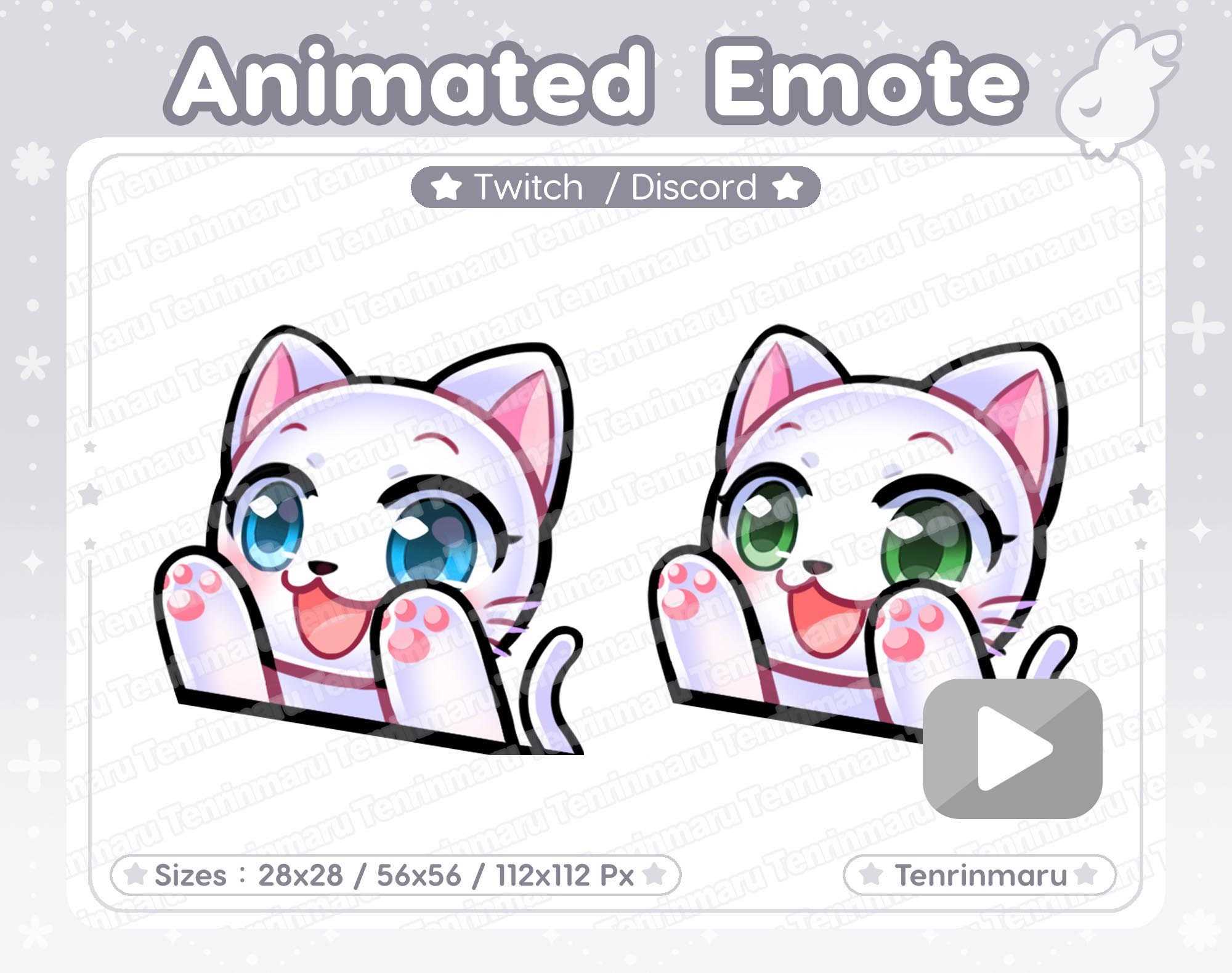 Animated Emote | Bongo Emote | Cute White Cat | Blue Eyes & Green Eyes ...