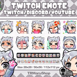 Cute Cat Boy Emotes X12 Silver Hair Gray Eyes AB Ver - Etsy