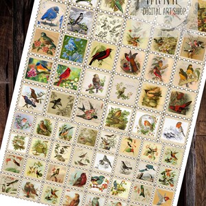 Vintage Bird Stamps, Printable Ephemera, Scrapbook Art (digital ...
