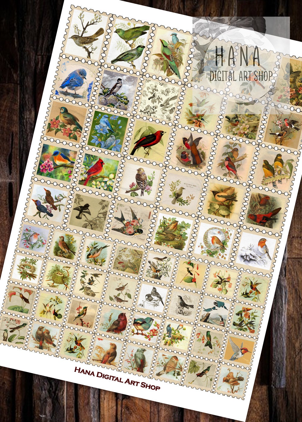 48 BIRD STAMPS, BIRD Printable Stamp, Vintage Stamp, Fairy Stamps ...