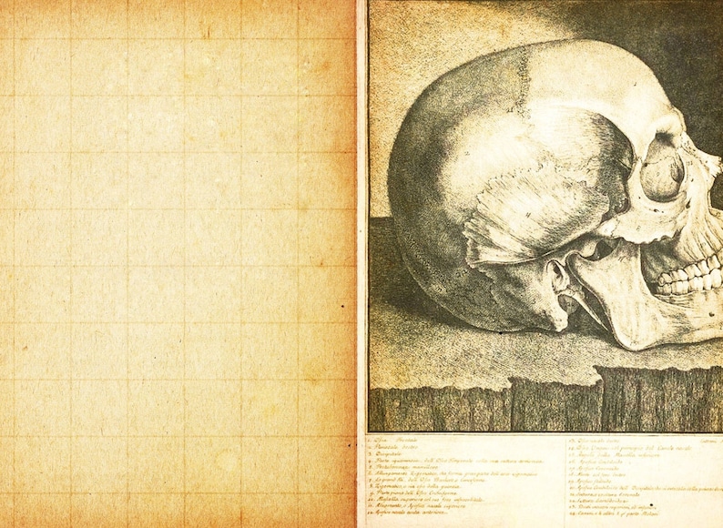 VINTAGE SKULL Journal Printable Pages Digital Ephemera - Etsy