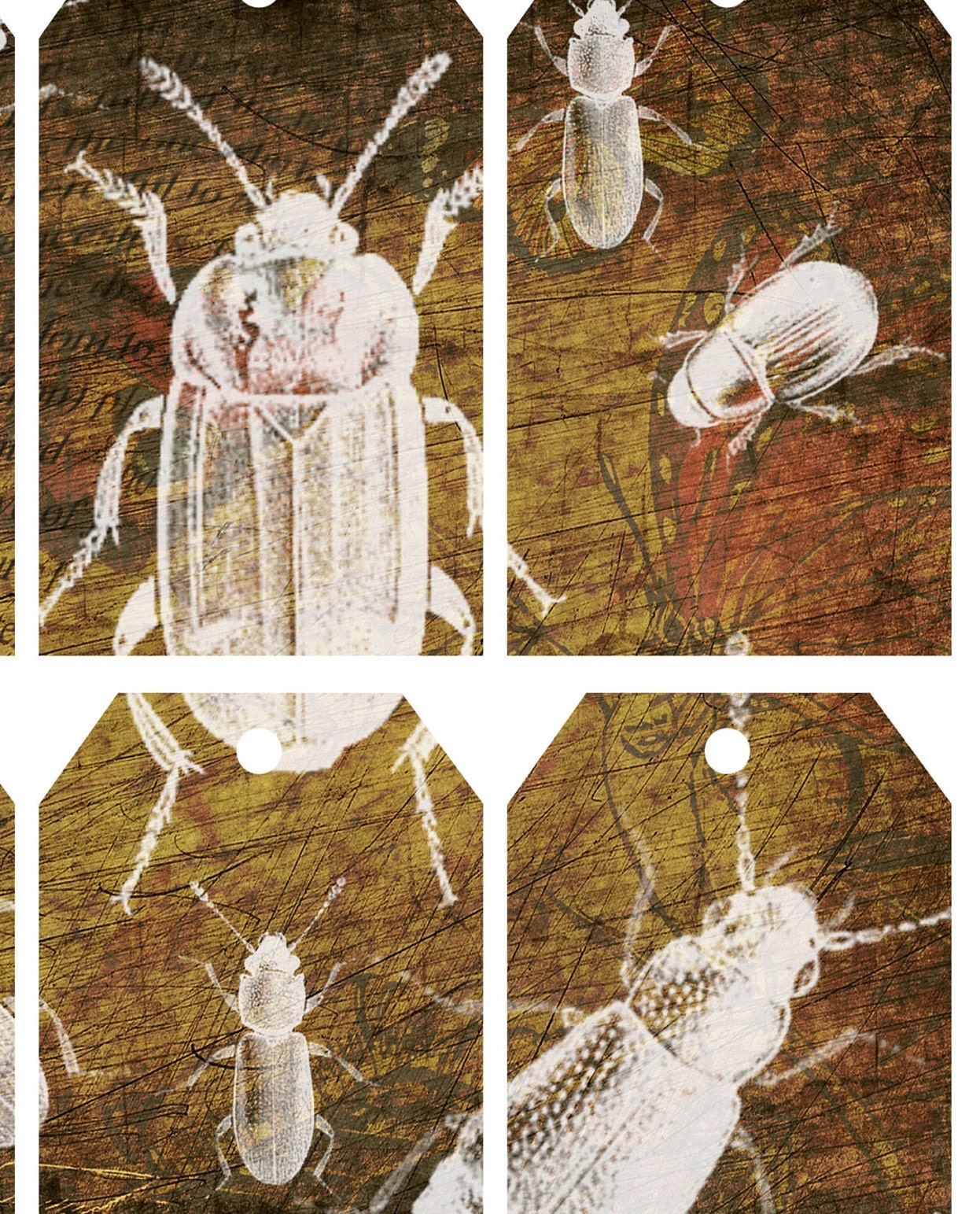 BUGS TAGS, Insect Tags, Bug Gift Tags, Vintage Botanist Bug, Download ...