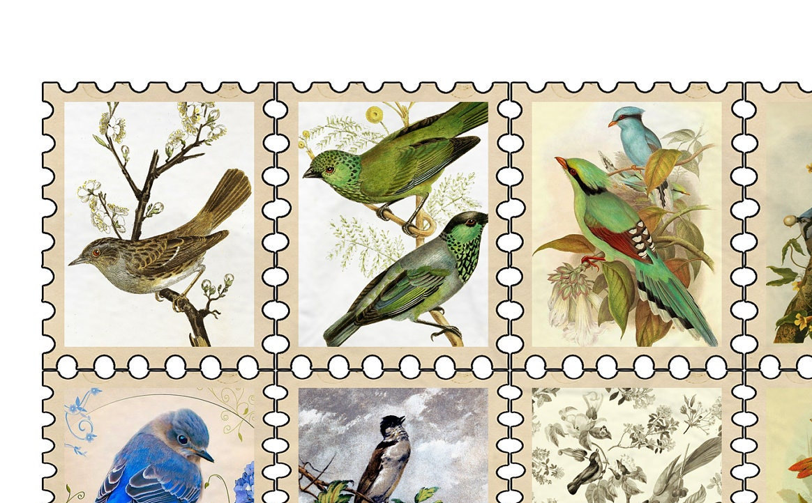 48 BIRD STAMPS, BIRD Printable Stamp, Vintage Stamp, Fairy Stamps ...