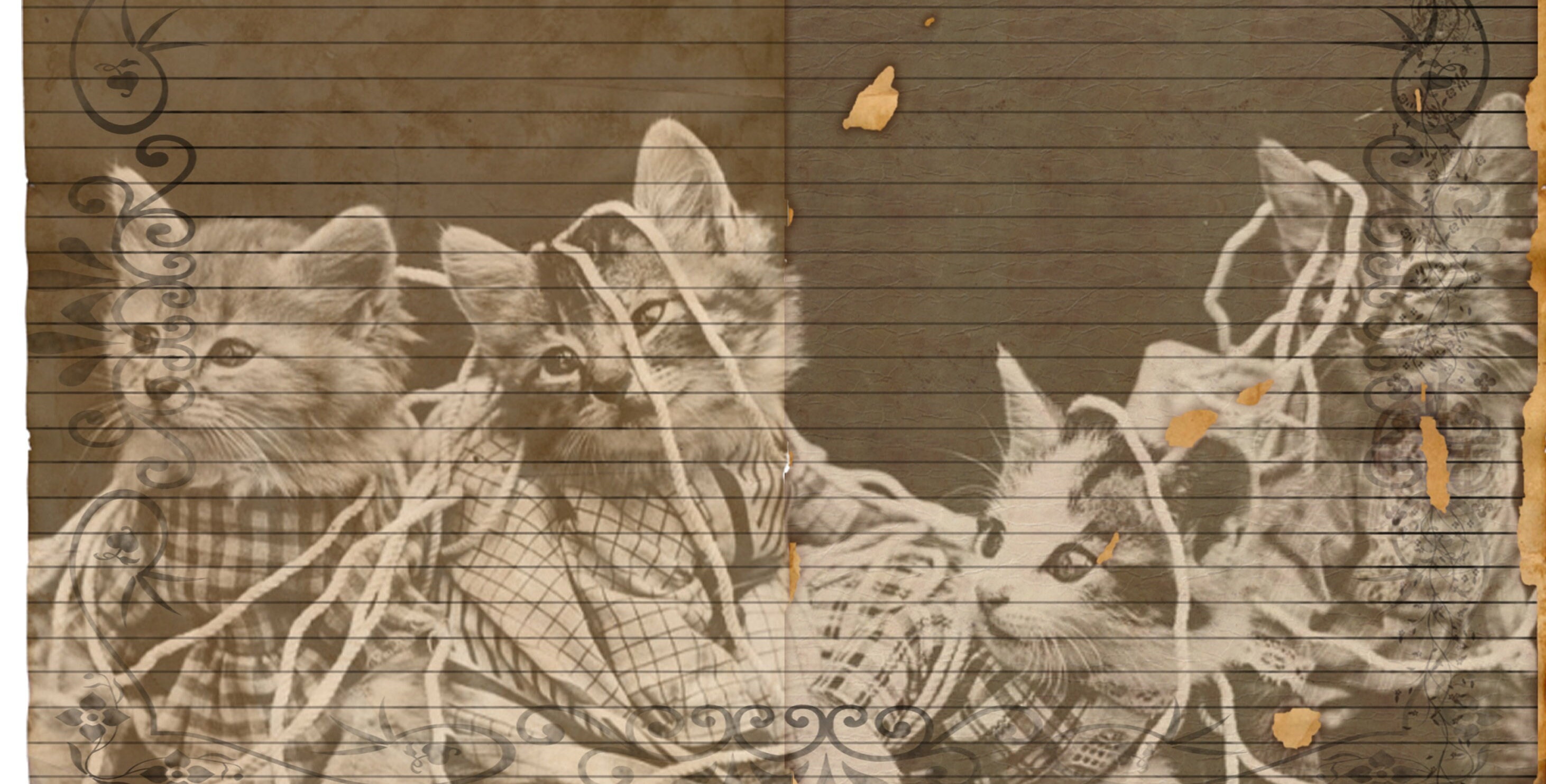 DIGITAL VINTAGE CAT Printable Journal Pages, Vintage Cat Journal, Dark ...