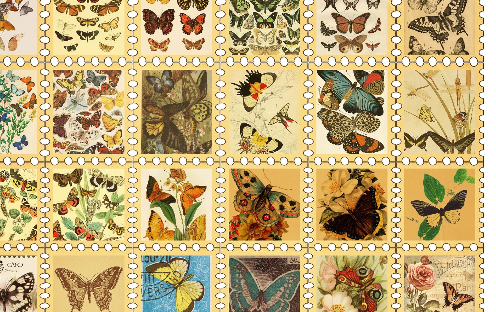 48 BUTTERFLY STAMPS, Printable Stamp, Vintage Stamp, Fairy Stamps ...