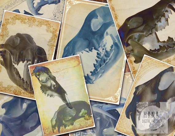 ANIMAL SKULL Journal Printable Pages Digital Ephemera - Etsy