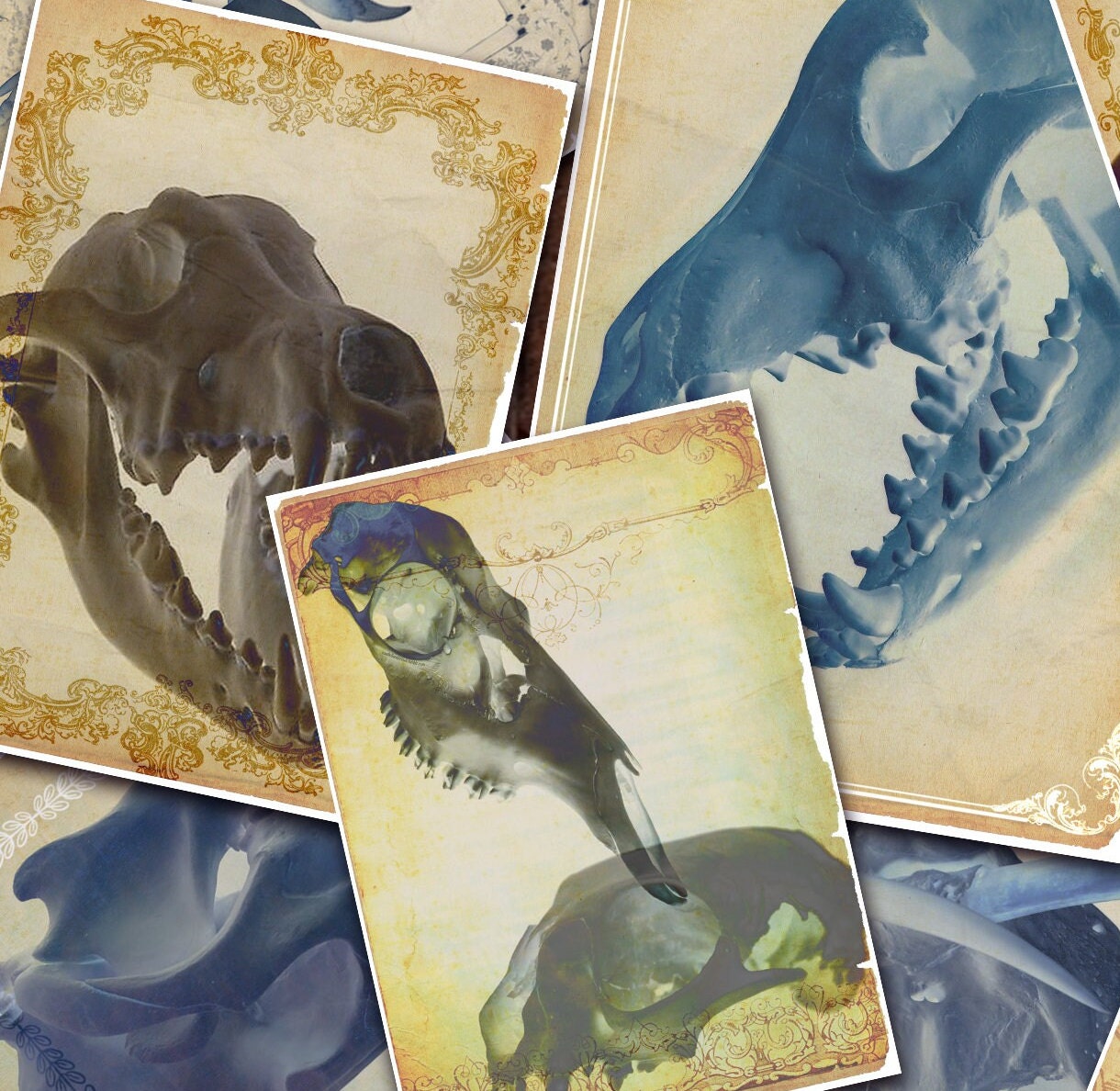 ANIMAL SKULL Journal Printable Pages Digital Ephemera - Etsy