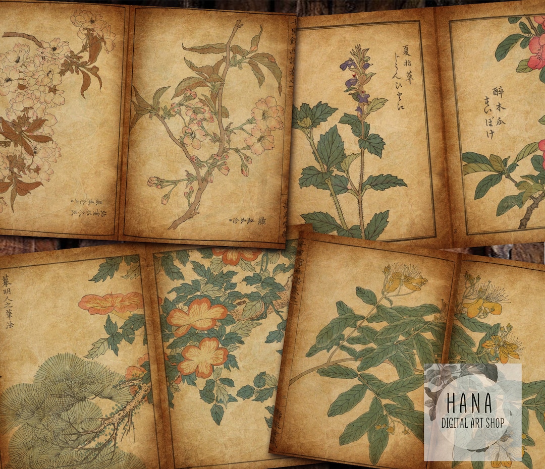 VINTAGE JAPANESE Printable Pages for Junk Journals, Japanese Ephemera ...
