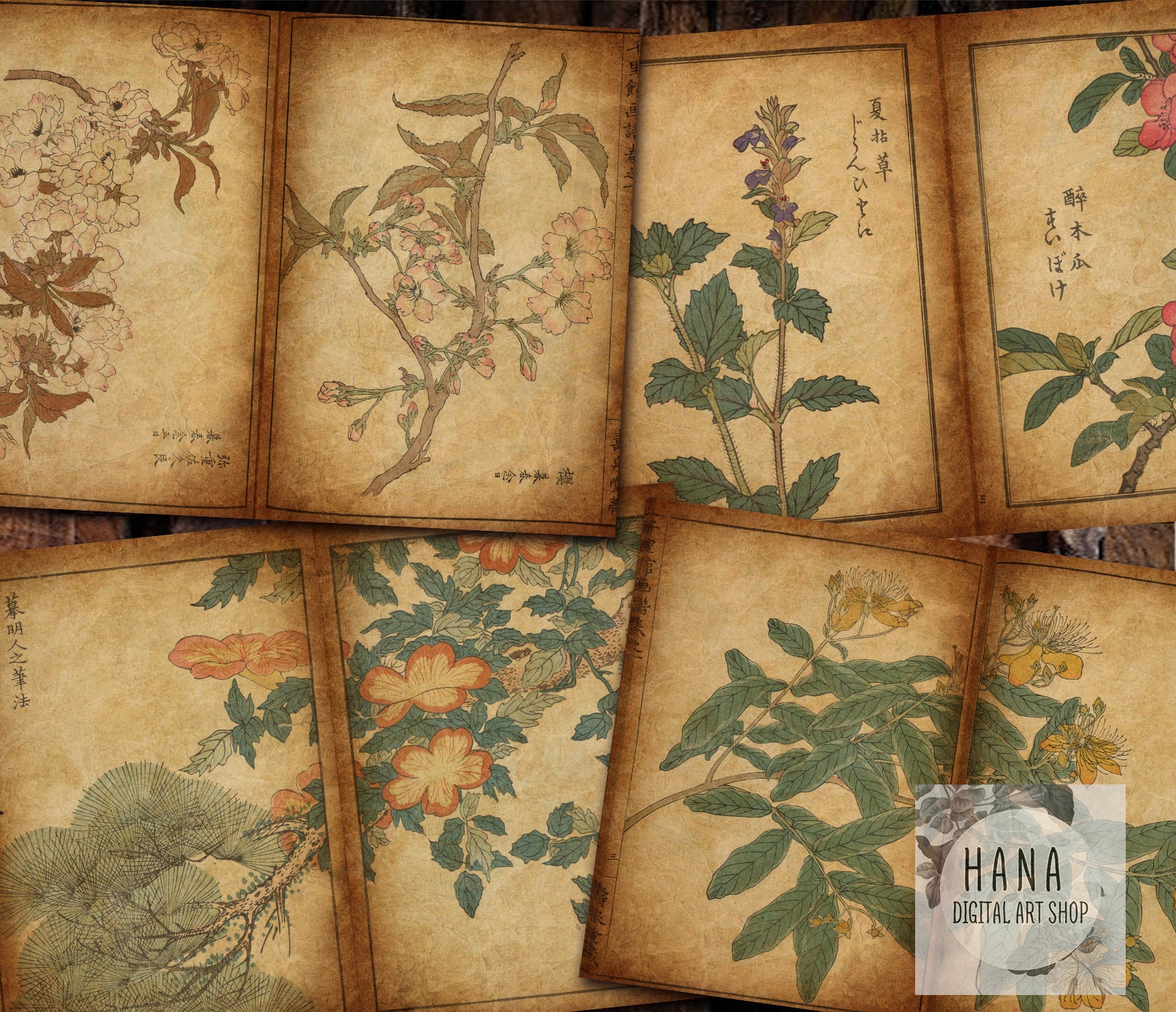 VINTAGE JAPANESE Printable Pages for Junk Journals, Japanese Ephemera ...