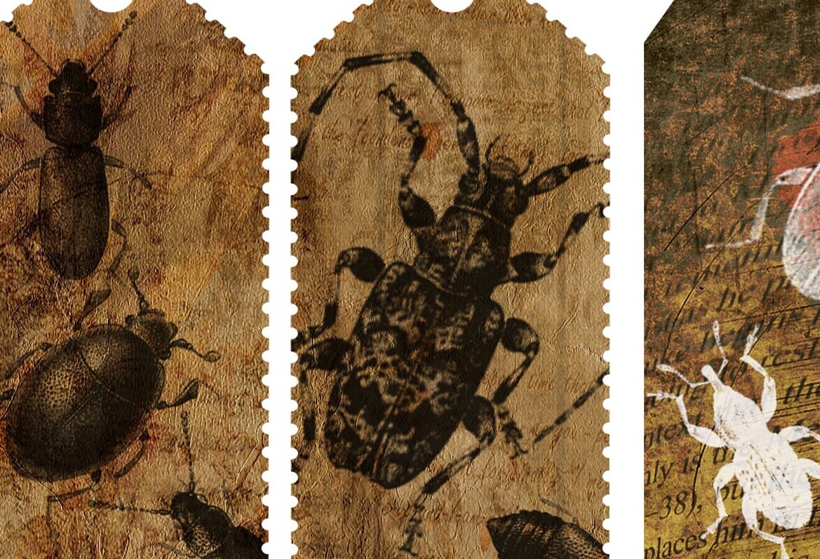 BUGS TAGS Insect Tags Bug Gift Tags Vintage Botanist Bug - Etsy