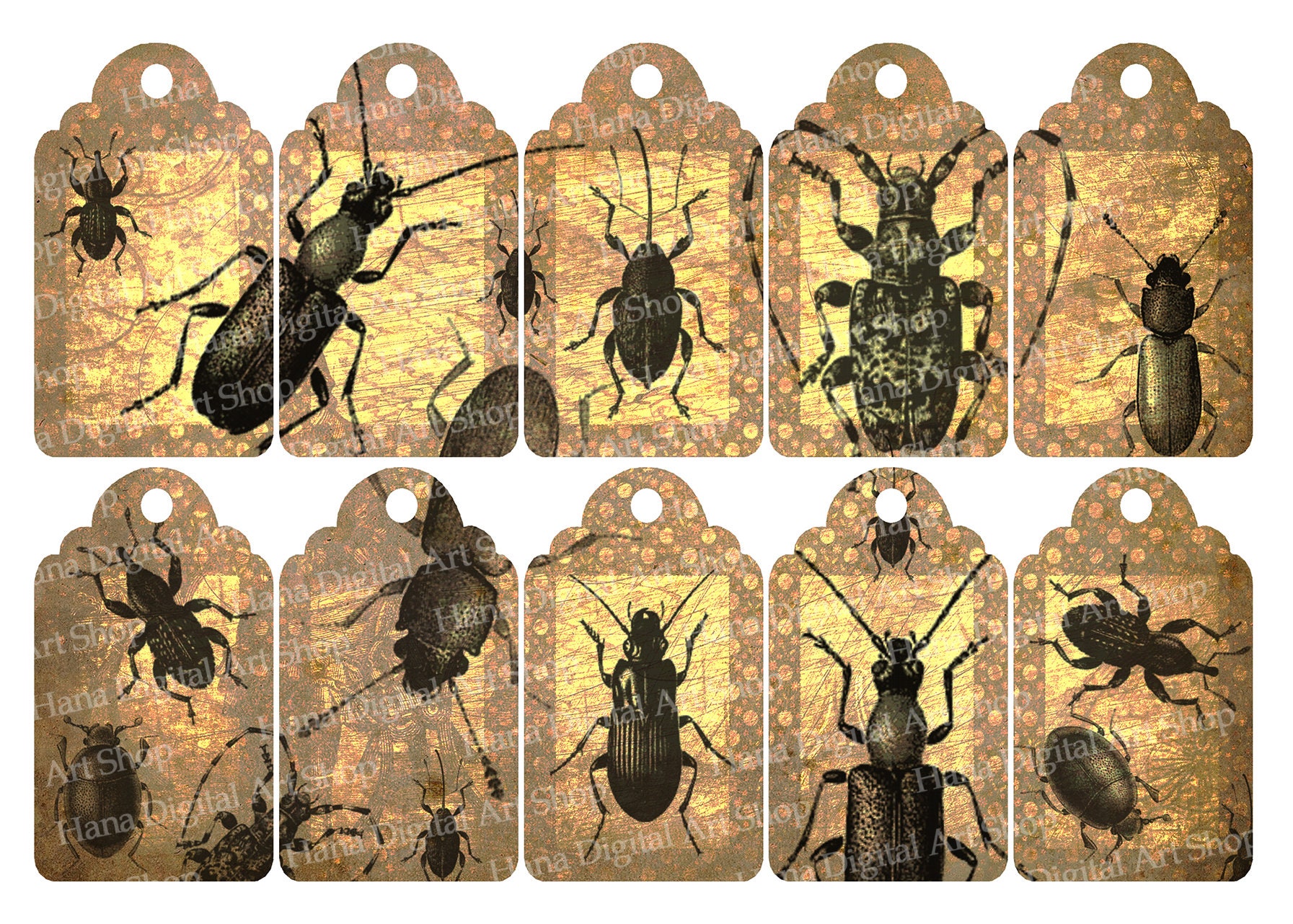 BUGS TAGS Insect Tags Bug Gift Tags Vintage Botanist Bug - Etsy