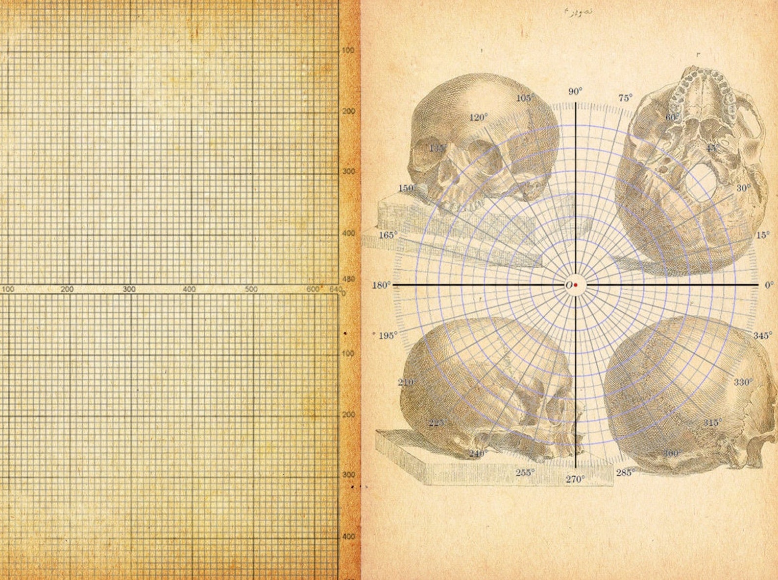 VINTAGE SKULL Journal Printable Pages Digital Ephemera - Etsy