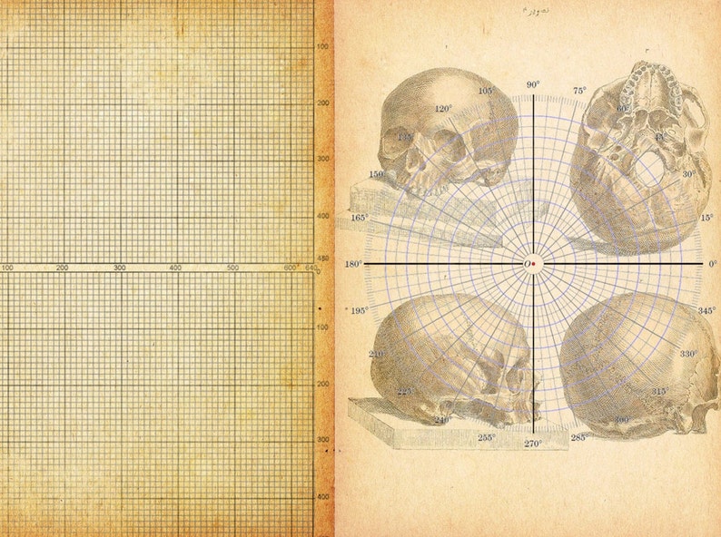 VINTAGE SKULL Journal Printable Pages Digital Ephemera - Etsy