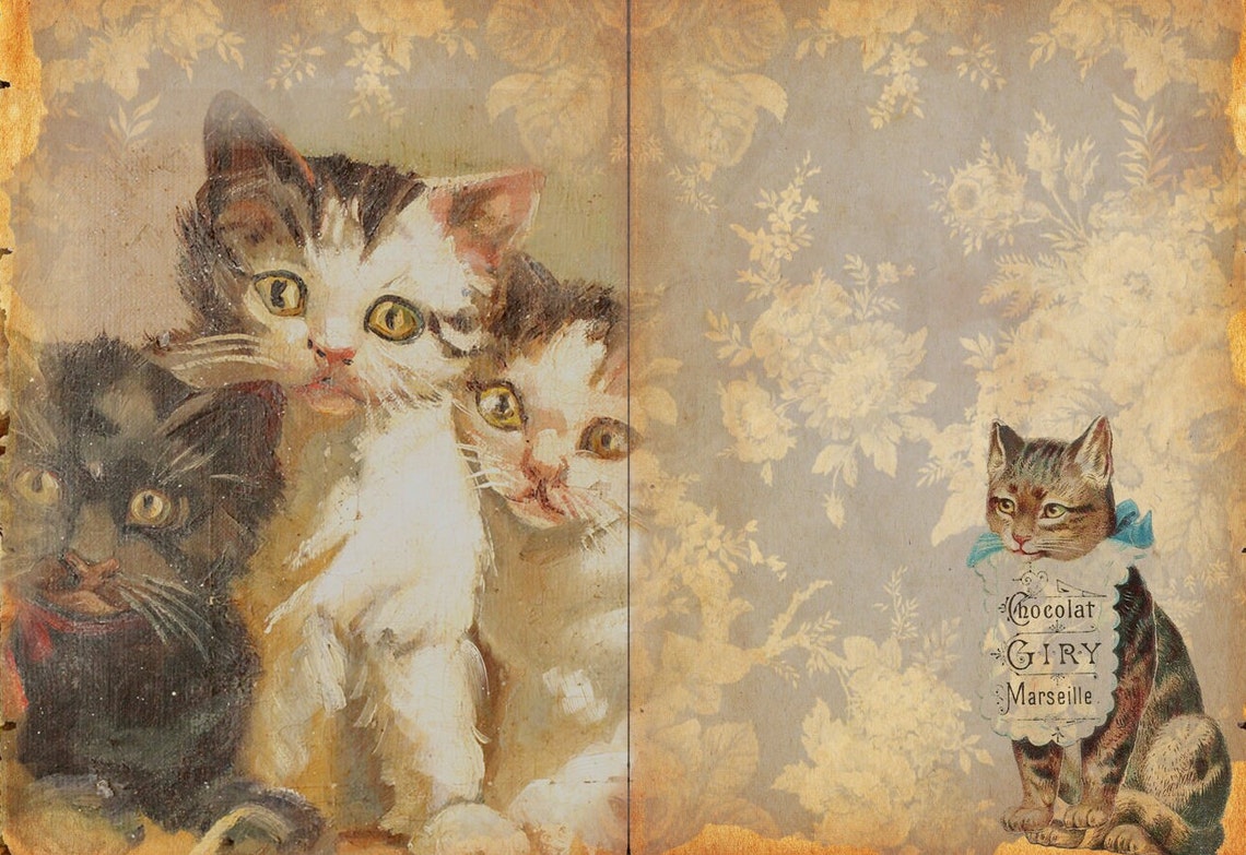 DIGITAL VINTAGE CAT Printable Journal Pages, Cat, Vintage Cat Journal ...