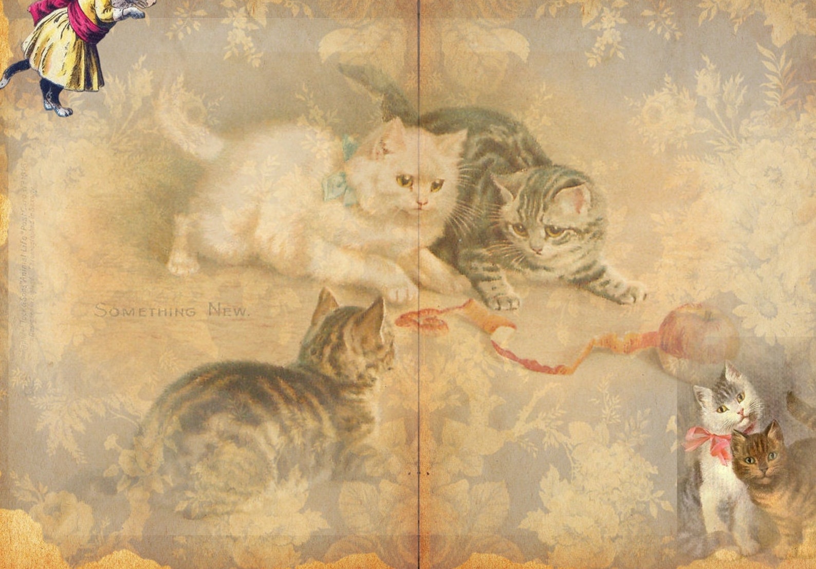 DIGITAL VINTAGE CAT Printable Journal Pages, Cat, Vintage Cat Journal ...