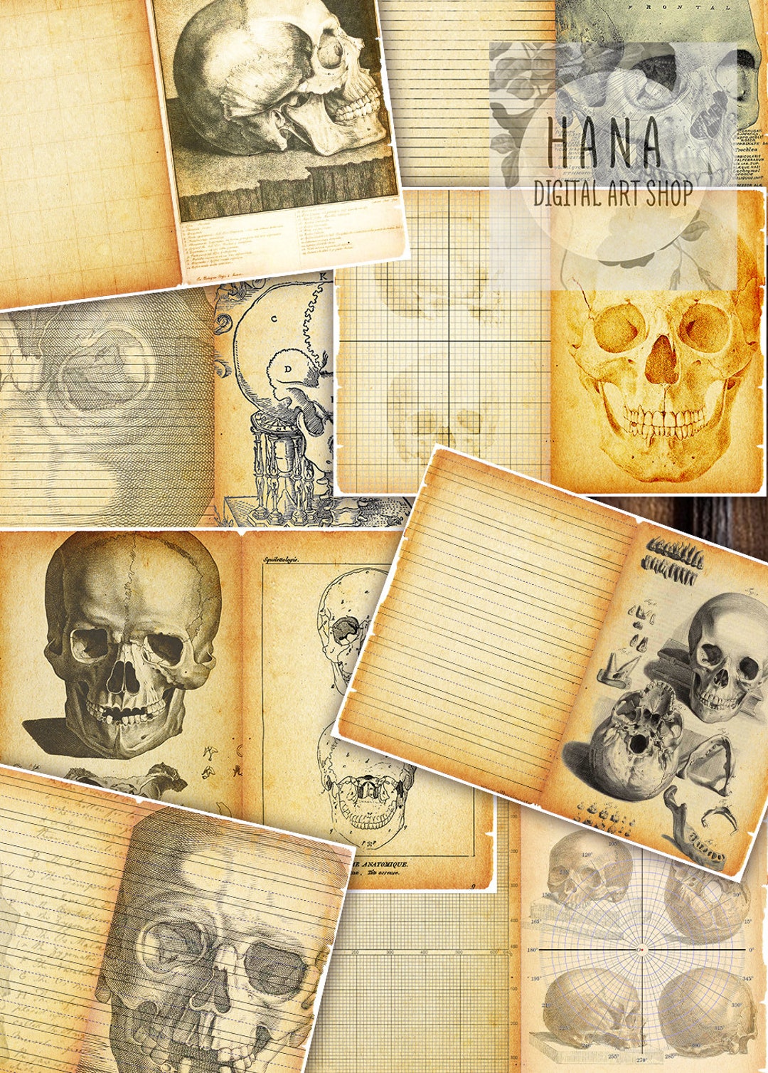 VINTAGE SKULL Journal Printable Pages, Digital Ephemera Download ...