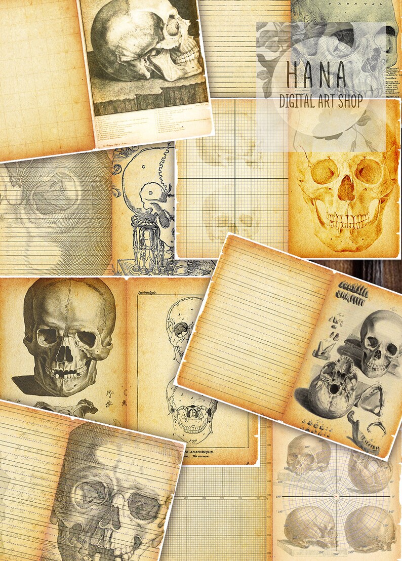 VINTAGE SKULL Journal Printable Pages Digital Ephemera - Etsy
