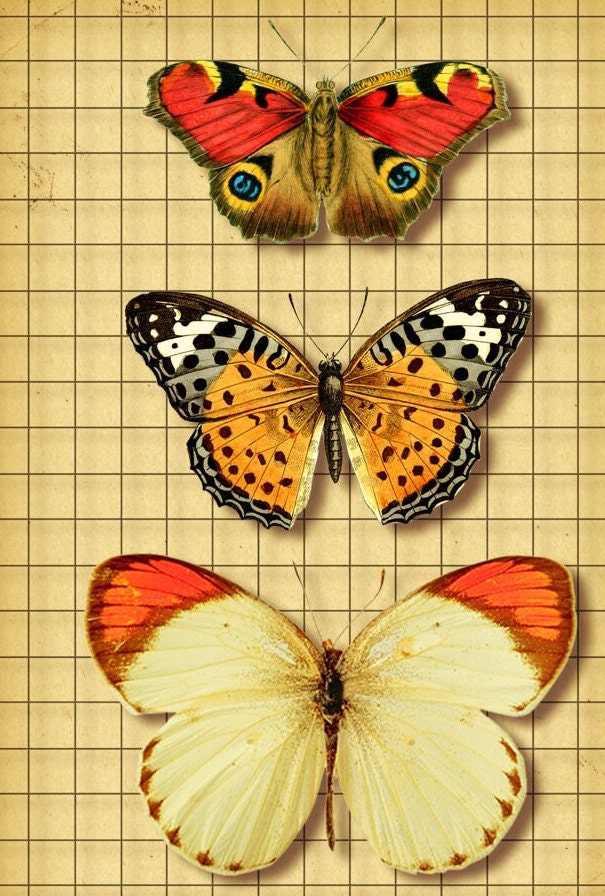 DIGITAL BUTTERFLY Journal Printable Pages Ephemera Junk - Etsy