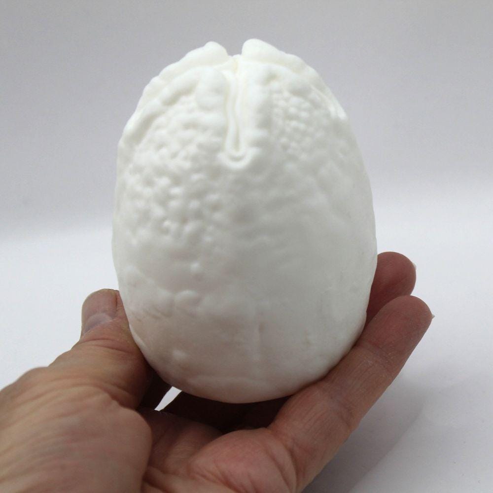 Alien Egg Model: 1979 Film Ovomorph Replica - Etsy