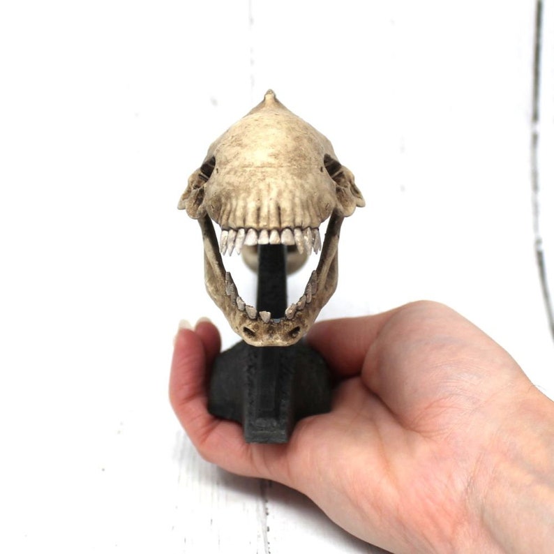 Alien Skull Model, Giger Alien Desk Art, Xenomorph Skull Model, Alien ...