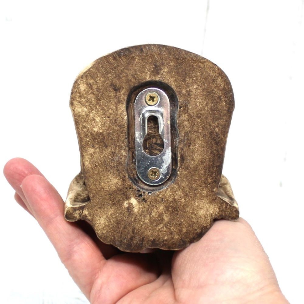 Jawless Skull Bust Head Resin Plaque Flush Fitting Wall - Etsy