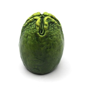 Alien Egg Model: 1979 Film Ovomorph Replica - Etsy