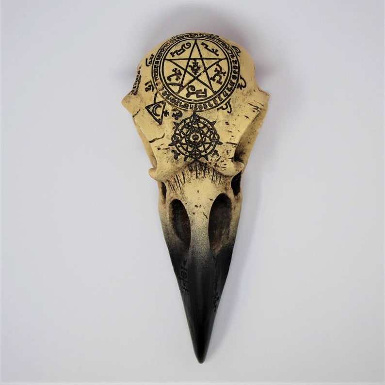 Raven Skull Magic Symbols and Runes Figurine Ivory Hand Casted | Etsy