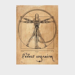 Alien A4 Poster, Know Your Xenomorph, Perfect Organism, Nostromo Crew ...