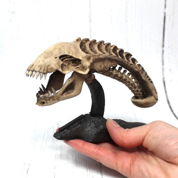 Xenomorph Alien Movie Model Skull Resin Heteromorphosis