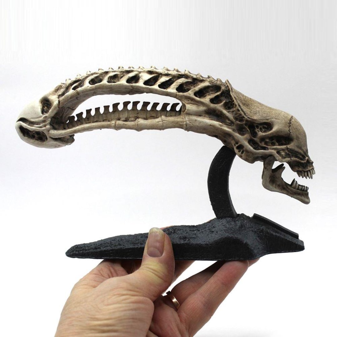 Alien Skull Model, Giger Alien Desk Art, Xenomorph Skull Model, Alien ...