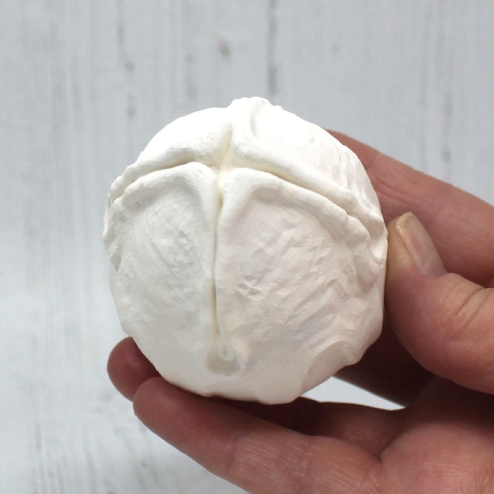 Alien Covenant Egg: Ovomorph Resin Figurine (7.5cm) - Etsy