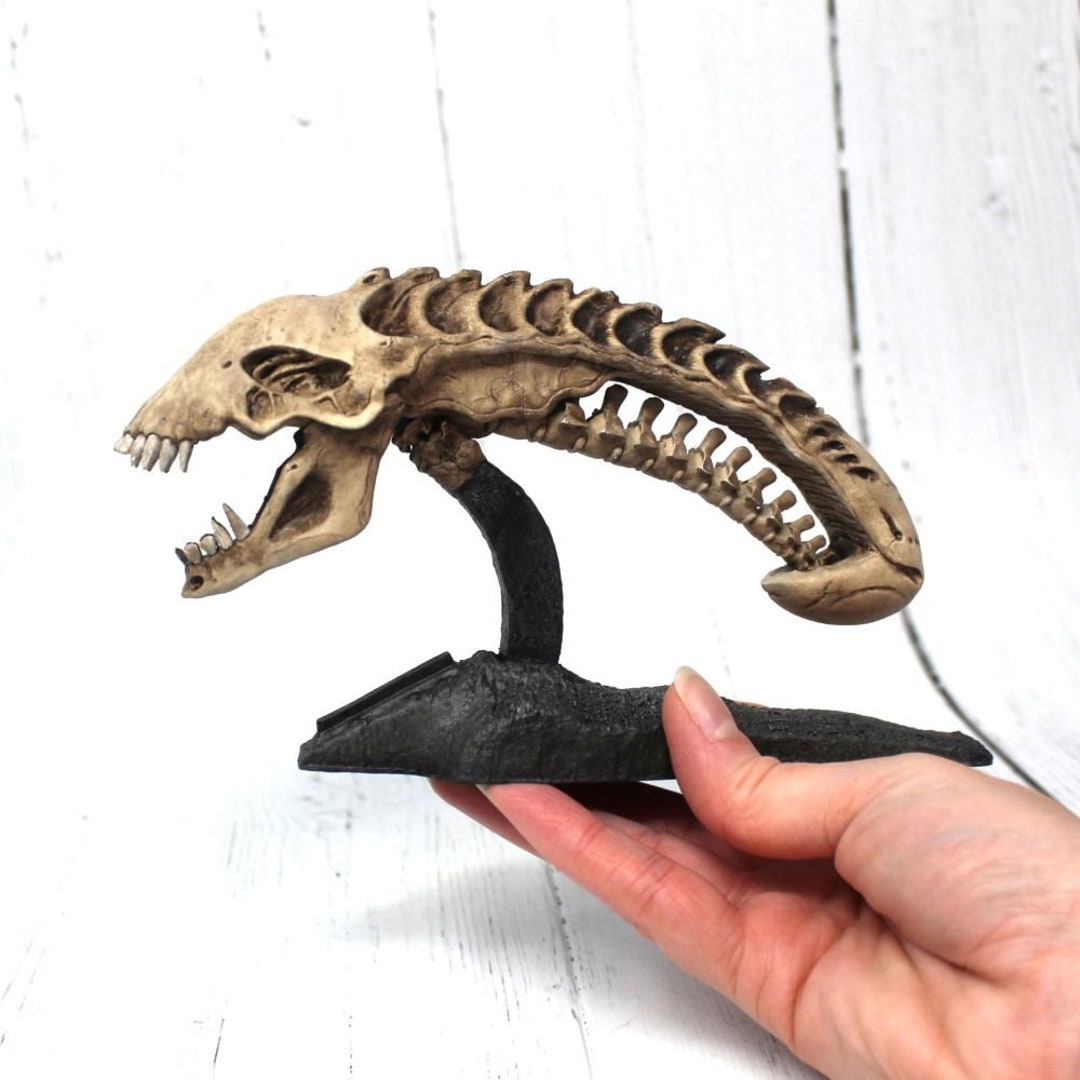 Alien Skull Model, Giger Alien Desk Art, Xenomorph Skull Model, Alien ...