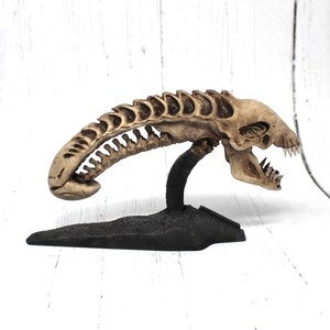 Alien Skull Model, Giger Alien Desk Art, Xenomorph Skull Model, Alien ...