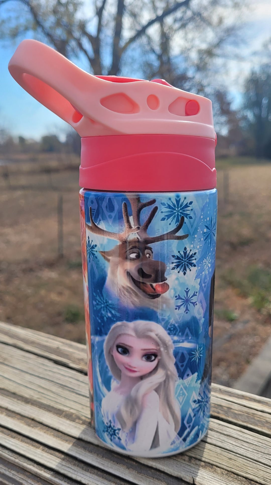 Disney's Frozen 12oz Kids Flip Top Tumbler - Etsy
