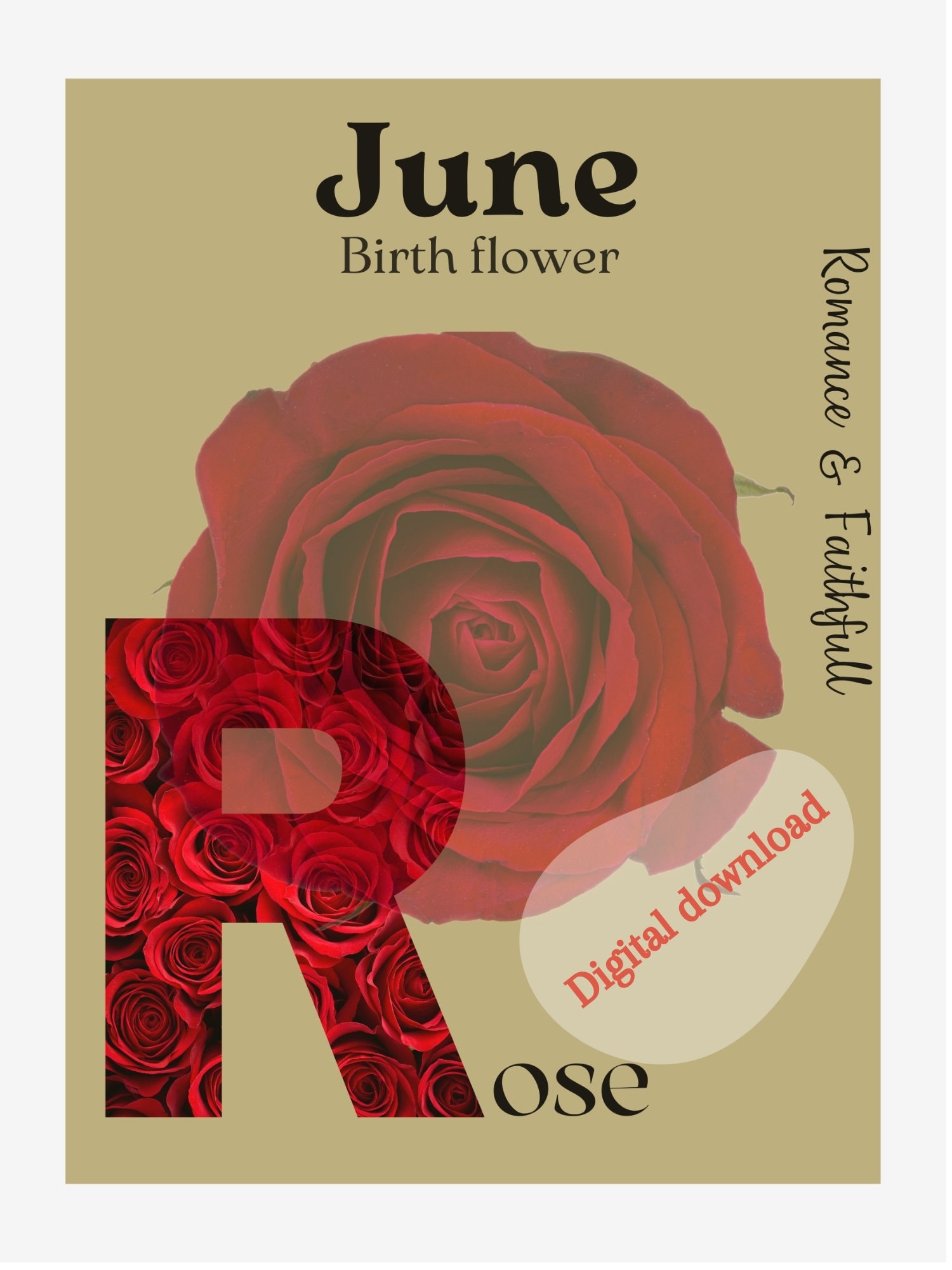 Birth Month Flower June Rose Printable Gift Birthday Floral Flower - Etsy