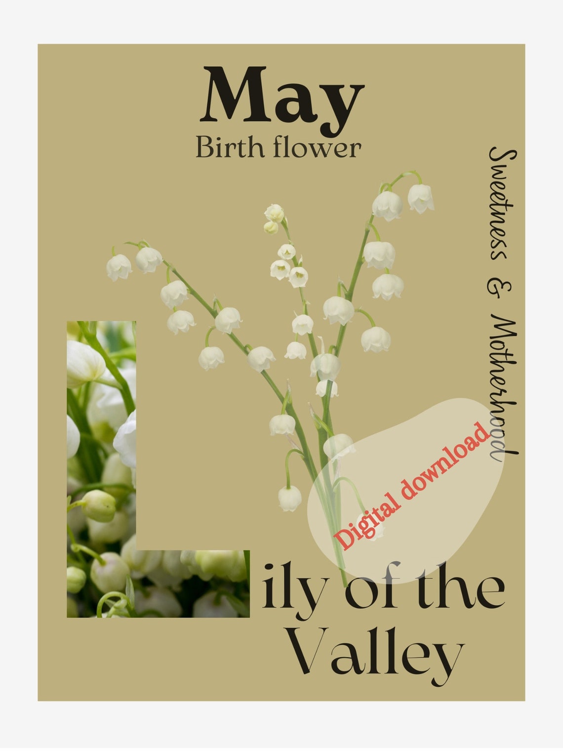 Birth Month Flower May Digital Printable Gift Birthday Floral Flower - Etsy