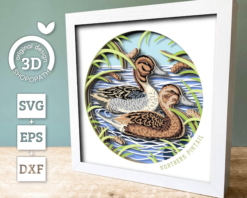Spring Ducks Northern Pintail - 3D Shadow Box Layered SVG DXF EPS ...