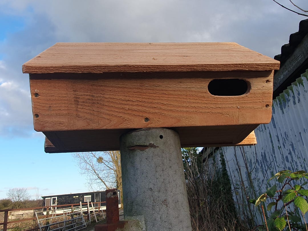 Hand Made Swift Nesting Box (single) - Etsy