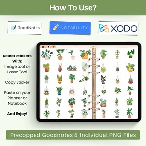 Green Botanical Digital Stickers for Goodnotes, Daily Digital Sticker ...