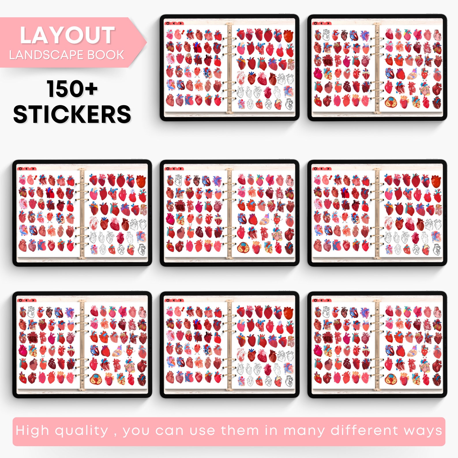 Biology Heart Digital Stickers Pre-cropped Human Body Stickers Hand ...