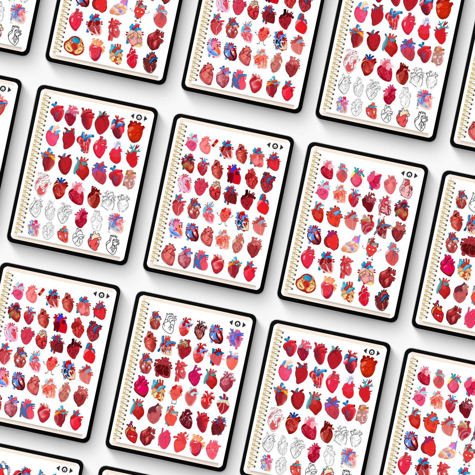 Biology Heart Digital Stickers Pre-cropped Human Body Stickers Hand ...