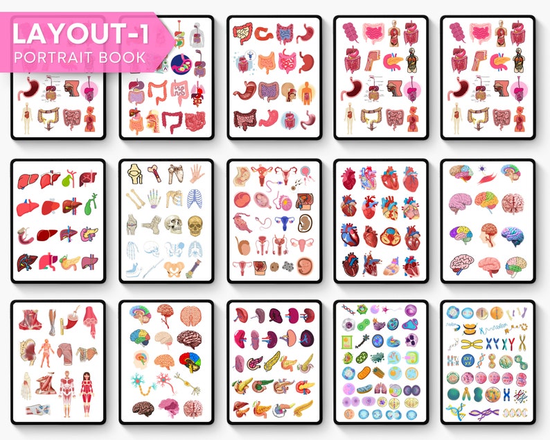 Biology & Anatomy Digital Stickers Pre-cropped Human Body - Etsy