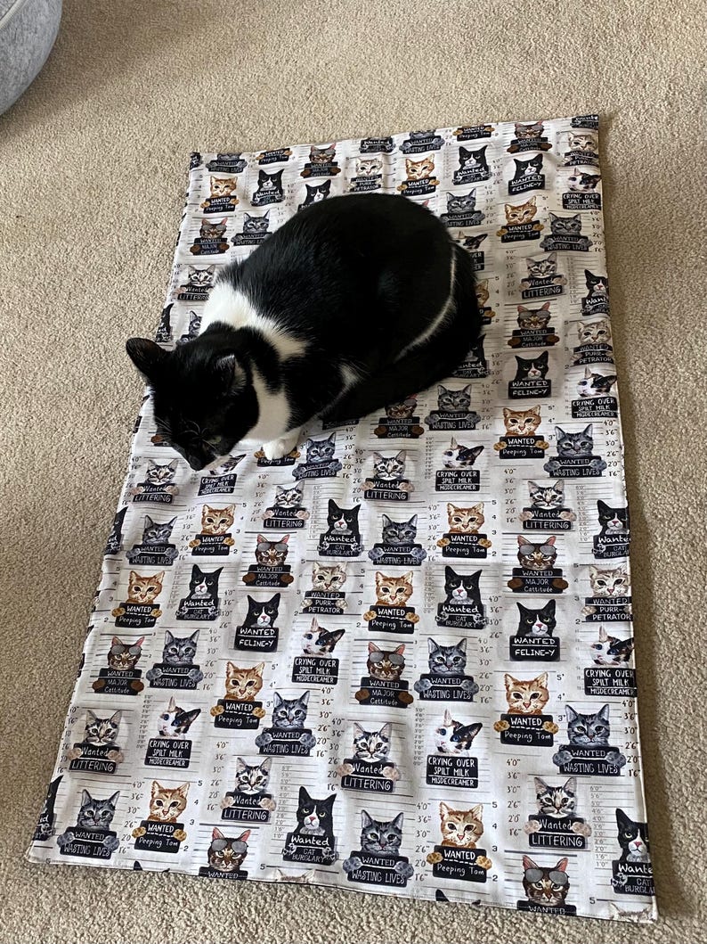 Criminal Cats Wanted Mugshot Blanket - Large - Etsy
