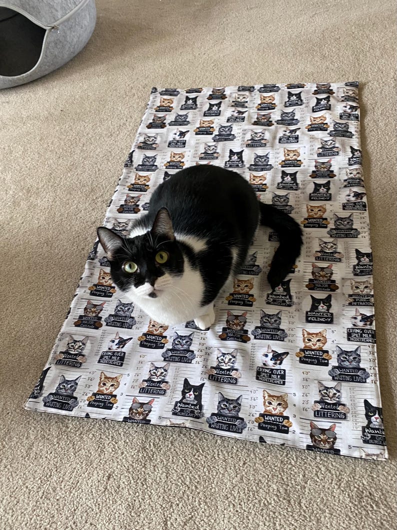 Criminal Cats Wanted Mugshot Blanket - Large - Etsy