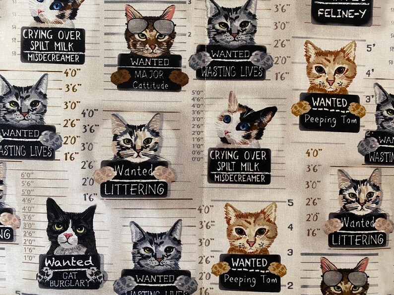 Criminal Cats Wanted Mugshot Blanket - Large - Etsy