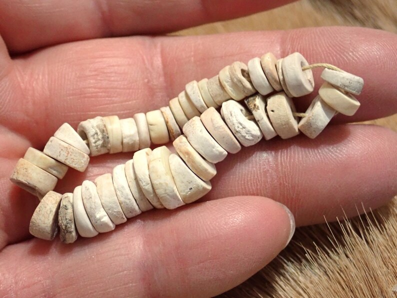 Authentic Native American Shell Bead Collection Consisting of ...