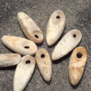 Authentic Native American Shell Bead Collection Consisting of 8 Tear ...