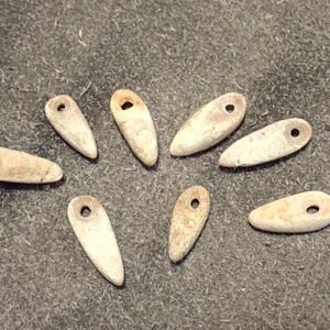 Authentic Native American Shell Bead Collection Consisting of 8 Tear ...