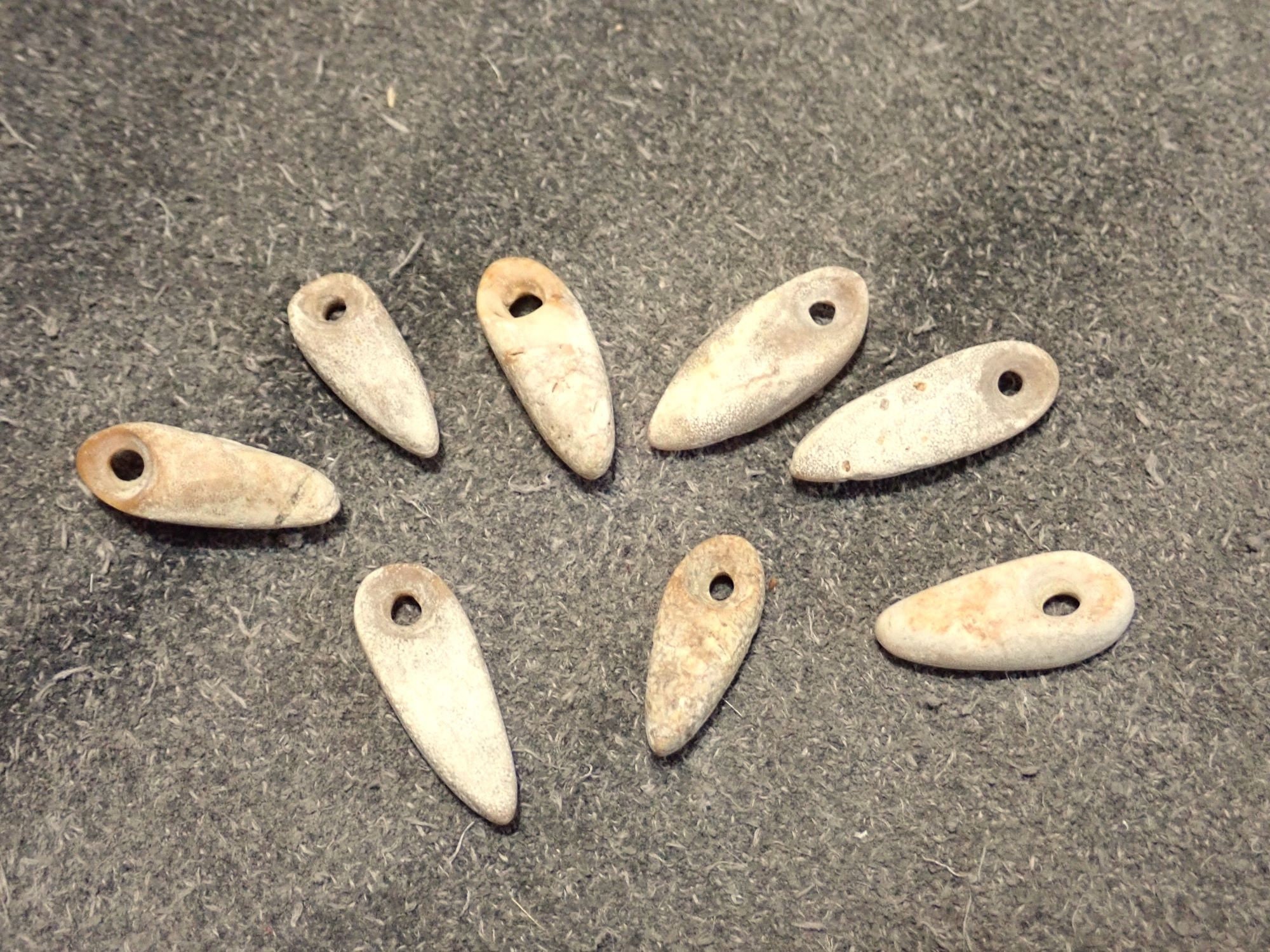 Authentic Native American Shell Bead Collection Consisting of 8 Tear ...